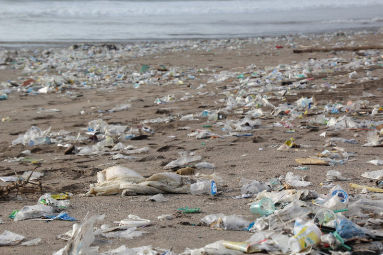 Plastic Litter in the Ocean Will Triple By 2040 if We Do Nothing To ...