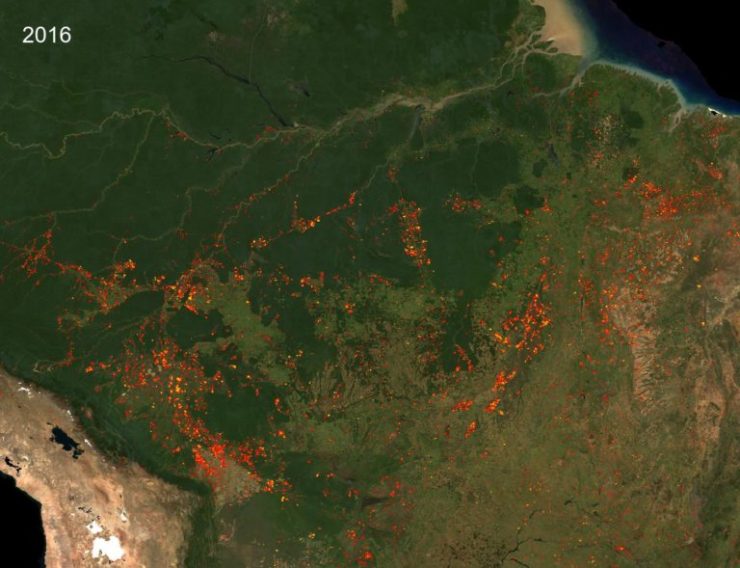 What Satellite imagery Teaches Us About the Amazon Rainforest - Earth ...