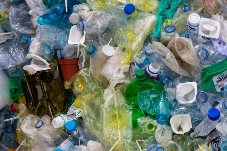 A Guide to Plastic Recycling for Kids - Earth.Org Kids