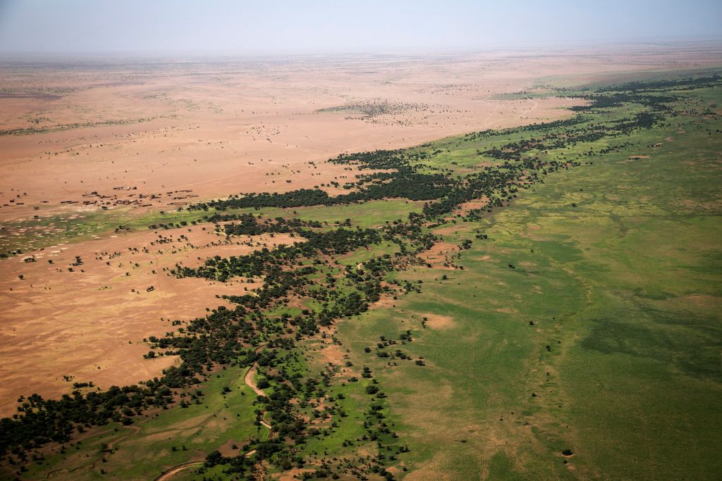 What Is The Great Green Wall Initiative? - Earth.Org Kids