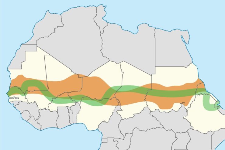 What Is The Great Green Wall Initiative? - Earth.Org Kids